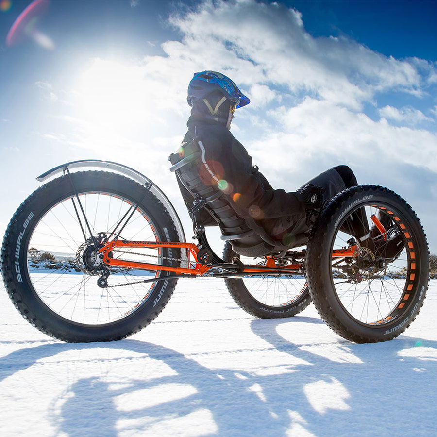 Ice Full Fat E Trike Preis